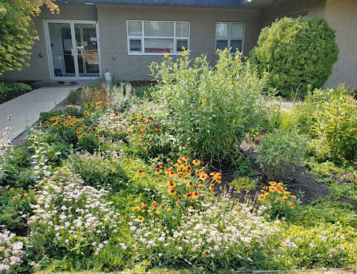 Rain Gardens - The Open College of the Arts